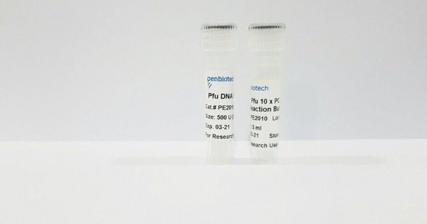 Pfu DNA Polymerase (500 units)