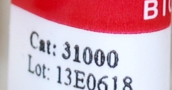 EvaGreen® dye, in water (1 ml)