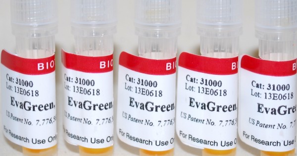EvaGreen® dye, in water (5x1 ml)