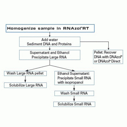 TRI Reagent (Trizol)