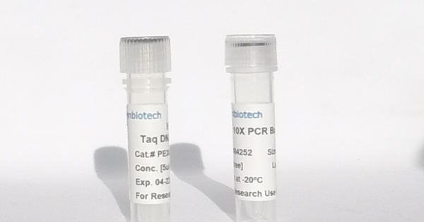 HotStart DNA polymerase (250 units)