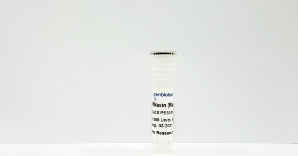 RNAsin (1000 units)