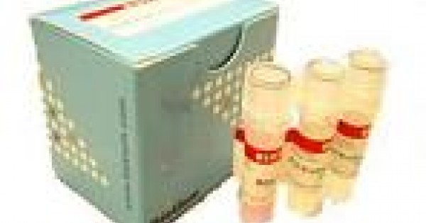 ROX dye 25 uM en buffer TE (1 ml)