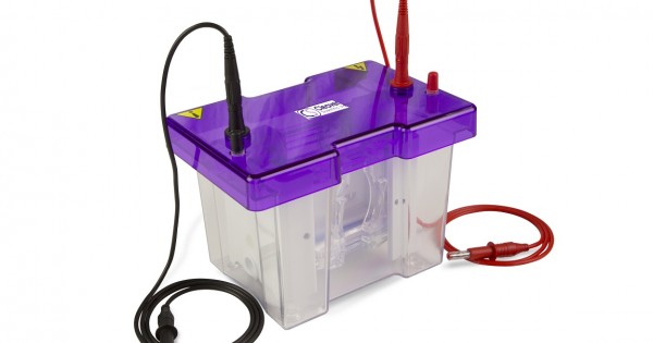 Vertical Gel Systems