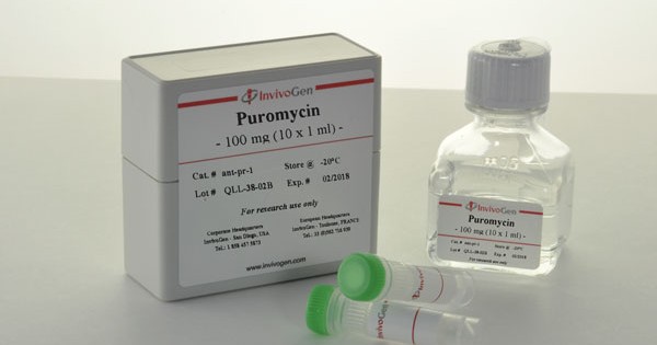 Puromycin 100 mg (10 x 1 ml)