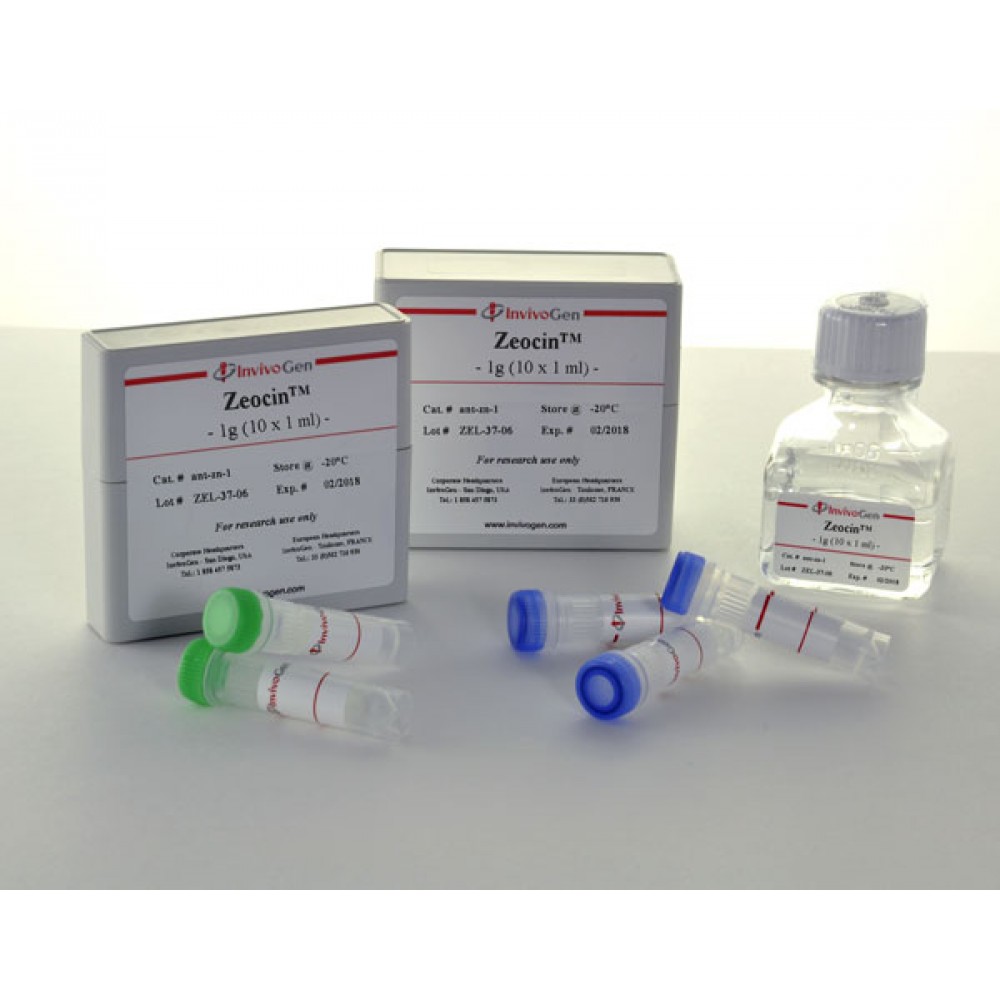 Zeocin 1 gr (powder)