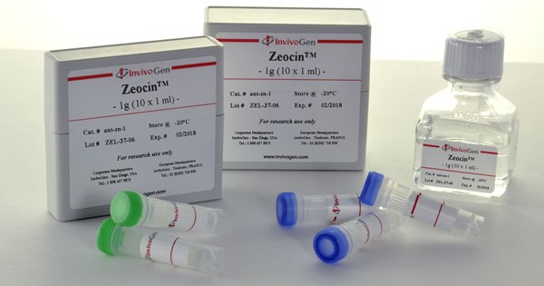 Zeocin 1 gr (powder)