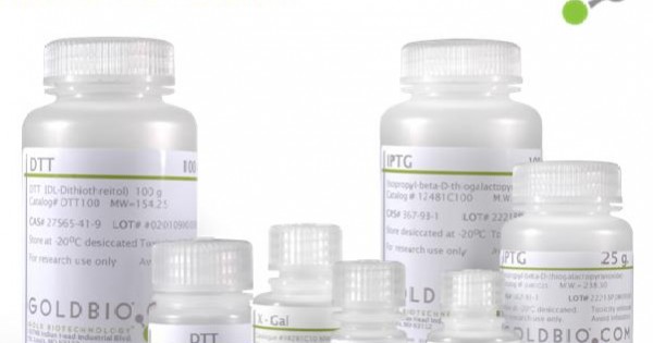 Mammalian Cell Lysis Buffer (100 ml)